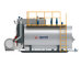 WNS 4T Oil Fired Steam Boiler Low NOx Emission / Condensing Gas Boilers