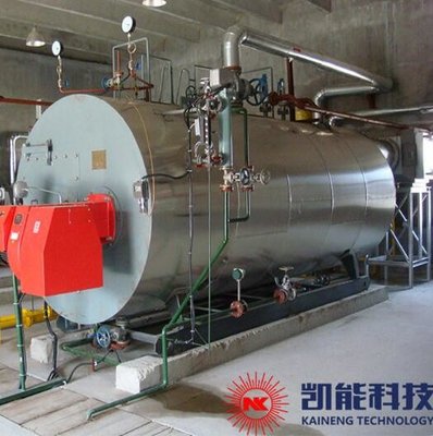 Gas Fired High Efficiency Steam Boiler Ripple Taper Furnace Combined